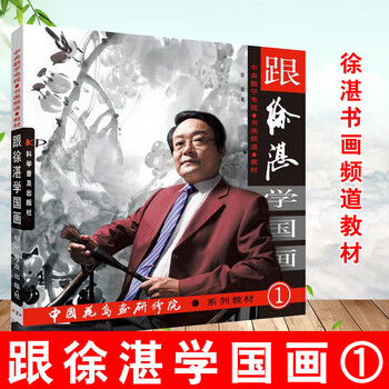 正版书籍 跟徐湛学国画1 徐淇 中国科学普及出版社 艺术绘画作品 国画技法书美术国画零基础入门教程