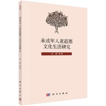 未成年人亚道德文化生活研究