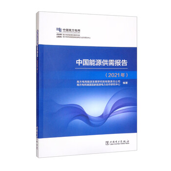 中国能源供需报告（2021年）