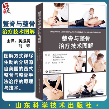 正版 整脊与整骨治疗技术图解 整脊与整骨手法治疗的理论渊源 神经生理学基础 吉米 迈克尔等著