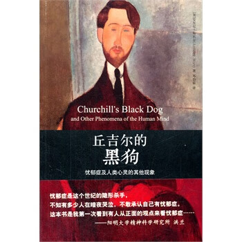 丘吉尔的黑狗 (英)斯托尔,邓伯宸 9787301199848 北京大学出版社