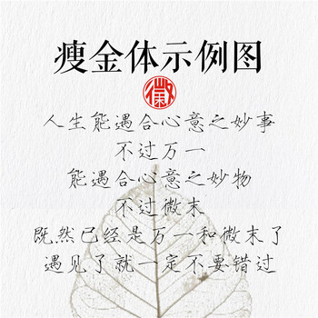 上林赋周生如故硬笔钢笔练字帖描红歌词本大学生文临摹本一生一世 瘦金体