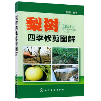 梨树四季修剪图解  梨树高产管理专业书籍梨树种植技术大全 梨树栽培技术