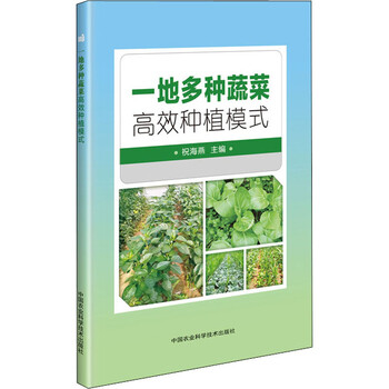 一地多种蔬菜高效种植模式
