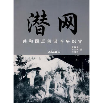 潜网－共和国反间谍斗争纪实 袁静伟 等著【正版书】