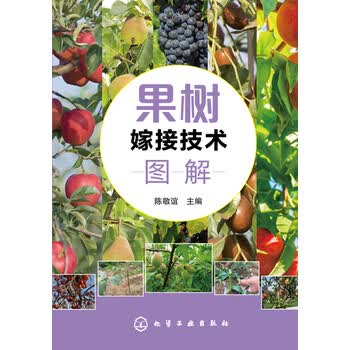 果树嫁接技术图解 陈敬谊 主编