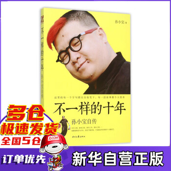 不一样的十年(孙小宝自传)