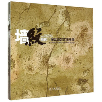 墙纹摄影-徐公诚艺术作品集  摄影 9787548609353