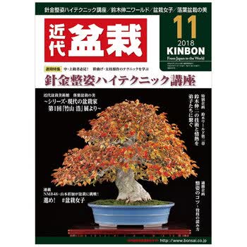 【包邮】订阅近代盆栽 盆栽景观杂志 日本日文原版 年订12期月刊原版