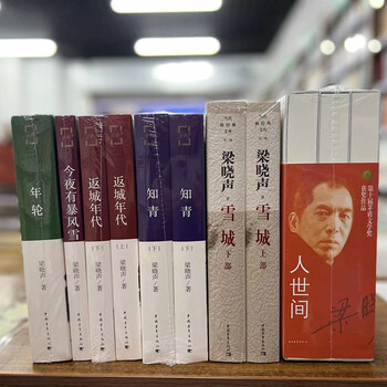 梁晓声作品【套装11册】人世间 雪城 知青 返城年代 年轮 今夜有暴风雪 长篇小说集完整版 第十届茅盾文学获作品作者书籍