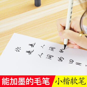 钢笔式软笔秀丽笔新毛笔小楷书法初学者软头笔可加墨签名练字笔便携式抄经描红宣纸专用笔仿毛笔狼毫兼毫 小楷 2支笔+小楷描红1本（李清照）
