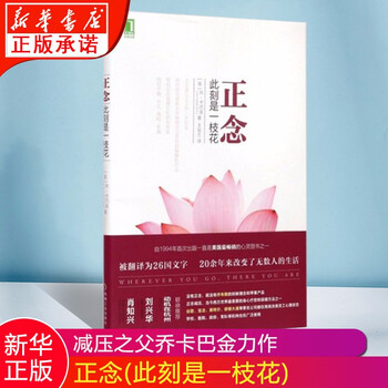 【现货新版】正念 此刻是一枝花 正念减压之父乔卡巴金力作 心理书 心理励志 正念疗愈力 生活减压之道