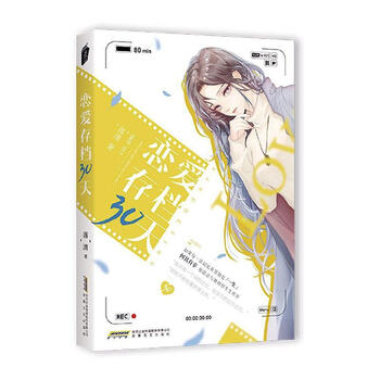恋爱存档30天 落清 文学 9787539669342