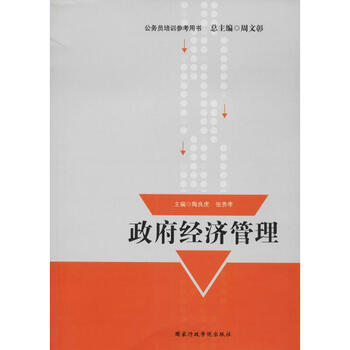 政府经济管理