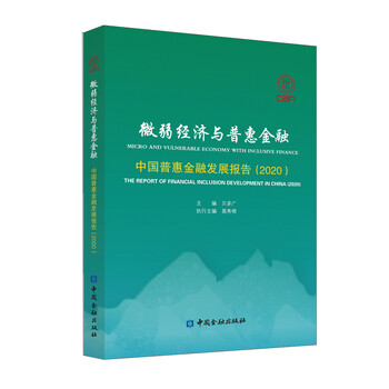 微弱经济与普惠金融：中国普惠金融发展报告（2020）