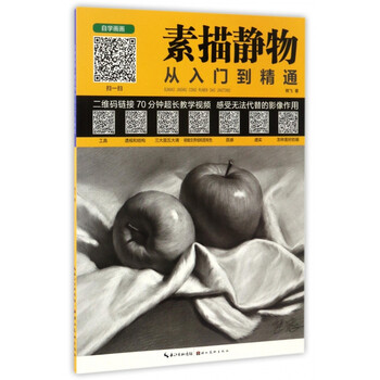 素描静物从入门到精通/自学画画