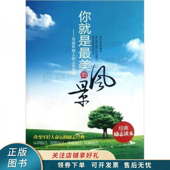 你就是最美的风景写给年轻人的人生坐标 武庆新