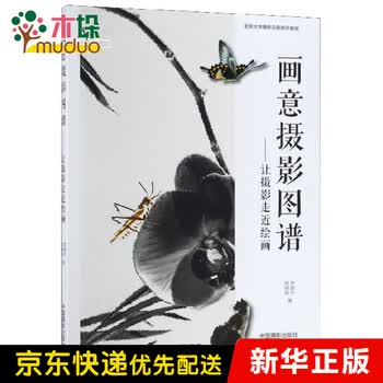 画意摄影图谱--让摄影走近绘画