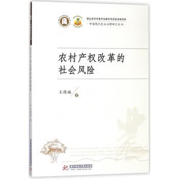 农村产权改革的社会风险/中国现代农业治理研究丛书