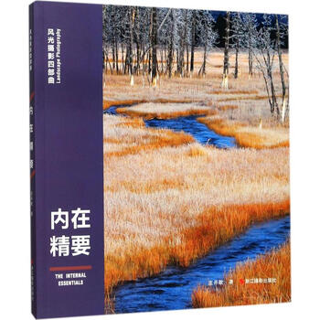 内在精要 庄开歌  书籍