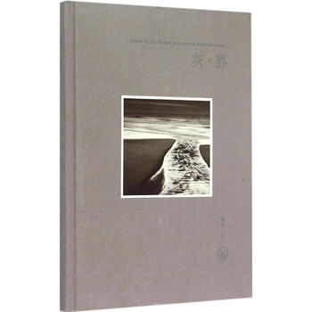 灰·界 董冬  作 书籍