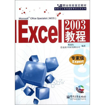 Excel 2003教程(专家级.EXPERT) 戴建耕 等 作 书籍