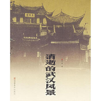 消逝的武汉风景/消逝的风景 徐鲁 作 书籍