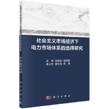 市场经济下电力市场体系的选择研究