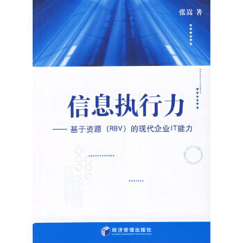 信息执行力【正版图书】