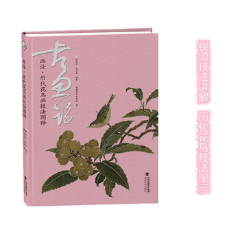 画诠一历代花鸟画技法图释