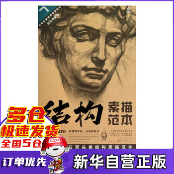 结构素描范本(7石膏头像结构素描范本黄金典藏版)/造型基础训练方法丛书