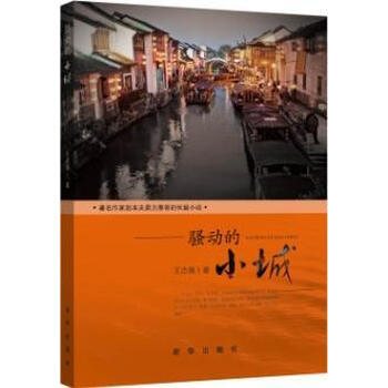 骚动的小城 王志强 小说 9787516615737