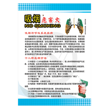 禁烟公益广告文化宣传画挂图标语海报禁止吸烟您已进入无烟场所控烟招贴画覆膜防水贴纸TYH TYH06  吸烟危害大 70*50厘米 覆膜防水PP贴纸