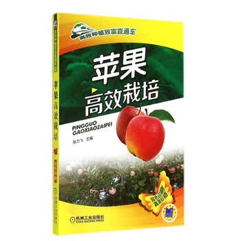 苹果高效栽培(6) 张力飞 书籍