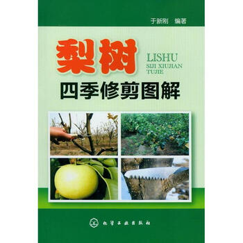 梨树四季修剪图解 于新刚  书籍