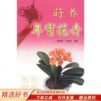 莳养年宵花卉 童丽丽