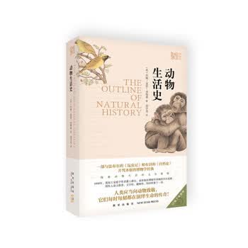 动物生活史
