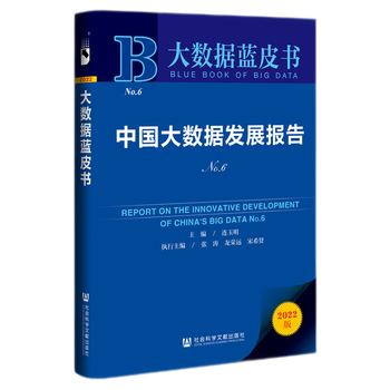 2022年大数据蓝皮书：中国大数据发展报告No.6 连玉明 主编 社科文献 9787522800172