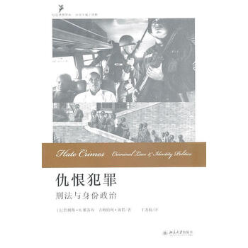 仇恨犯罪 刑法与身份政治【正版图书】