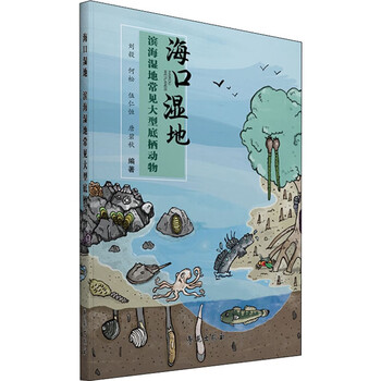 海口湿地 滨海湿地常见大型底栖动物