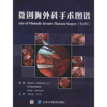 微创胸外科手术图谱 书籍