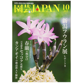 【包邮】订阅園芸JAPAN 园艺花艺杂志 日本日文 年订12期E376原版