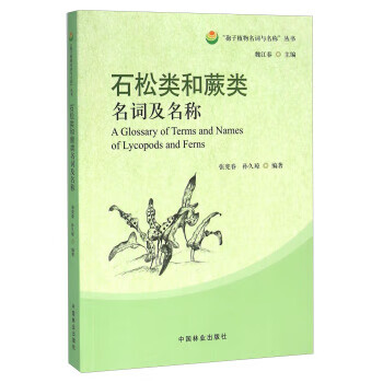 石松类和蕨类名词及名称