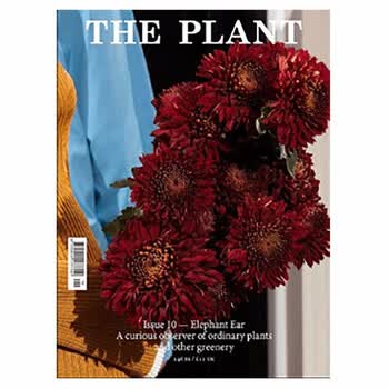 【包邮】订阅The Plant 植物生活独立杂志 英国英文原版 年订2期