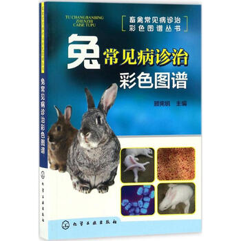 兔常见病诊治彩色图谱 顾宪锐 主编 书籍