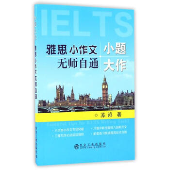 小题大作 苏涛  书籍