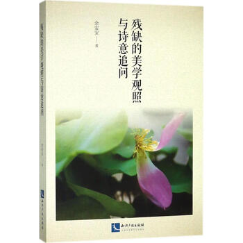 残缺的美学观照与诗意追问 余安安  书籍