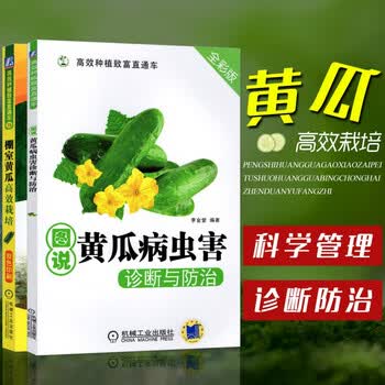 高效栽培黄瓜+图说黄瓜病虫害诊断与防治 大棚蔬菜种植技术大全书籍 棚室黄瓜育苗管理 无土栽培 黄瓜病