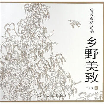 乡野美致 丁立伟 绘  书籍