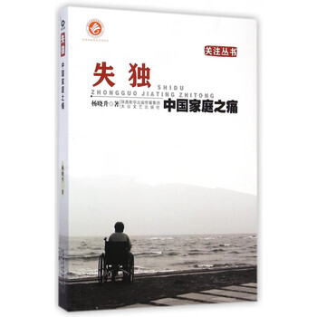 失独(中国家庭之痛)/关注丛书